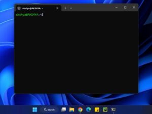 Enable the Linux Bash Shell on Windows 11 - BounceGeek