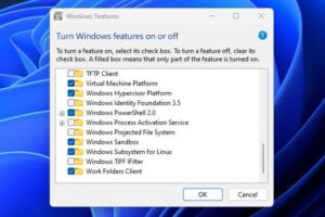 Enable the Linux Bash Shell on Windows 11 - BounceGeek