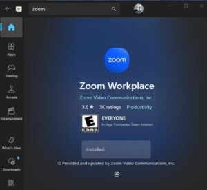 How to Fix Zoom Quit Unexpectedly Windows 11 Error - BounceGeek