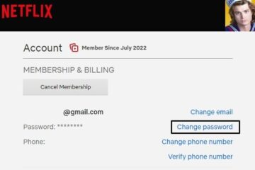 Find out who is using your Netflix Account and Stop Them - BounceGeek