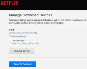 Find out who is using your Netflix Account and Stop Them - BounceGeek